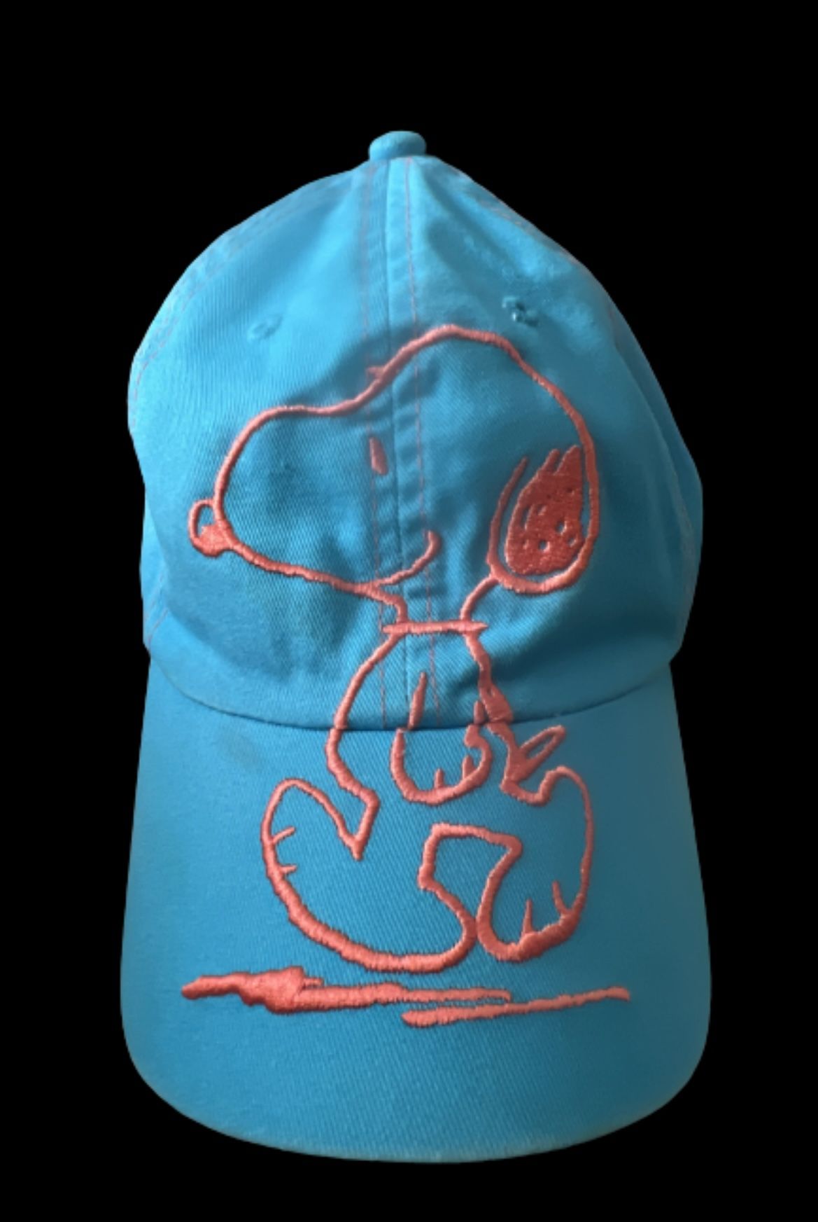 Vintage Peanuts Cedar Point Snoopy Hat for Sale in Orlando, FL - OfferUp