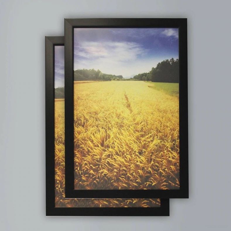 Frames Set Of 2 12 X 18 Poster Frame Black For Sale In Bonita CA frames-set-of-2-12-x-18-poster-frame-black-for-sale-in-bonita-ca