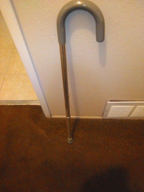 Steel Walking Cane for Sale in Riverside, CA - OfferUp