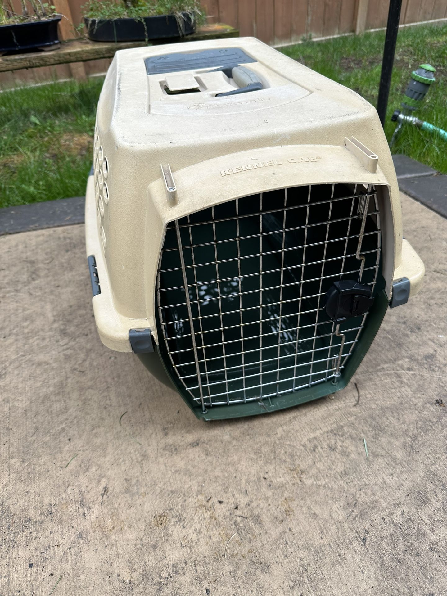 Petmate Hard Transport Dog Cat Kennel for Sale in Covington, WA - OfferUp