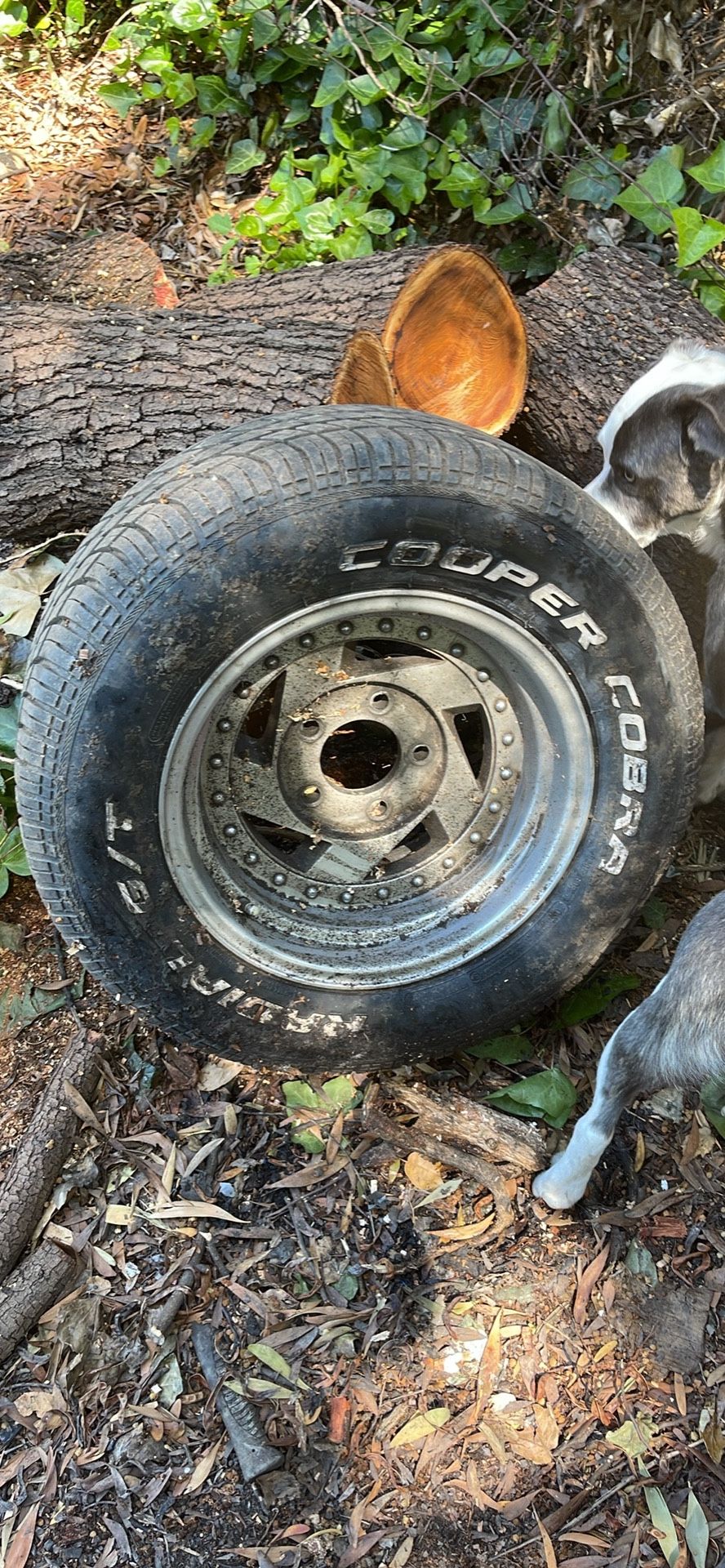 Chevy Obs Wheels for Sale in Hilltop Mall, CA - OfferUp