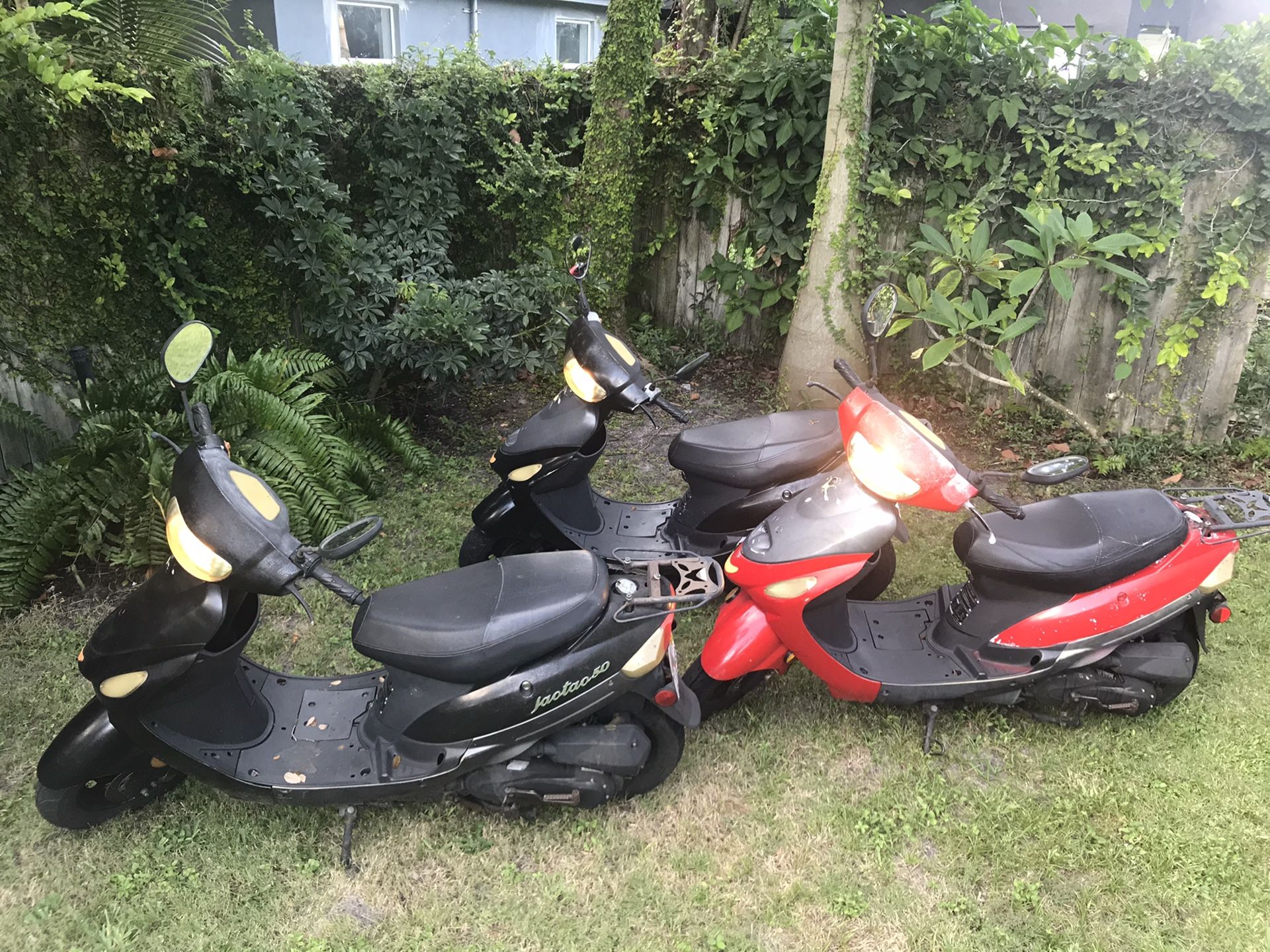 49cc Tao Tao scooters for Sale in Miami, FL - OfferUp