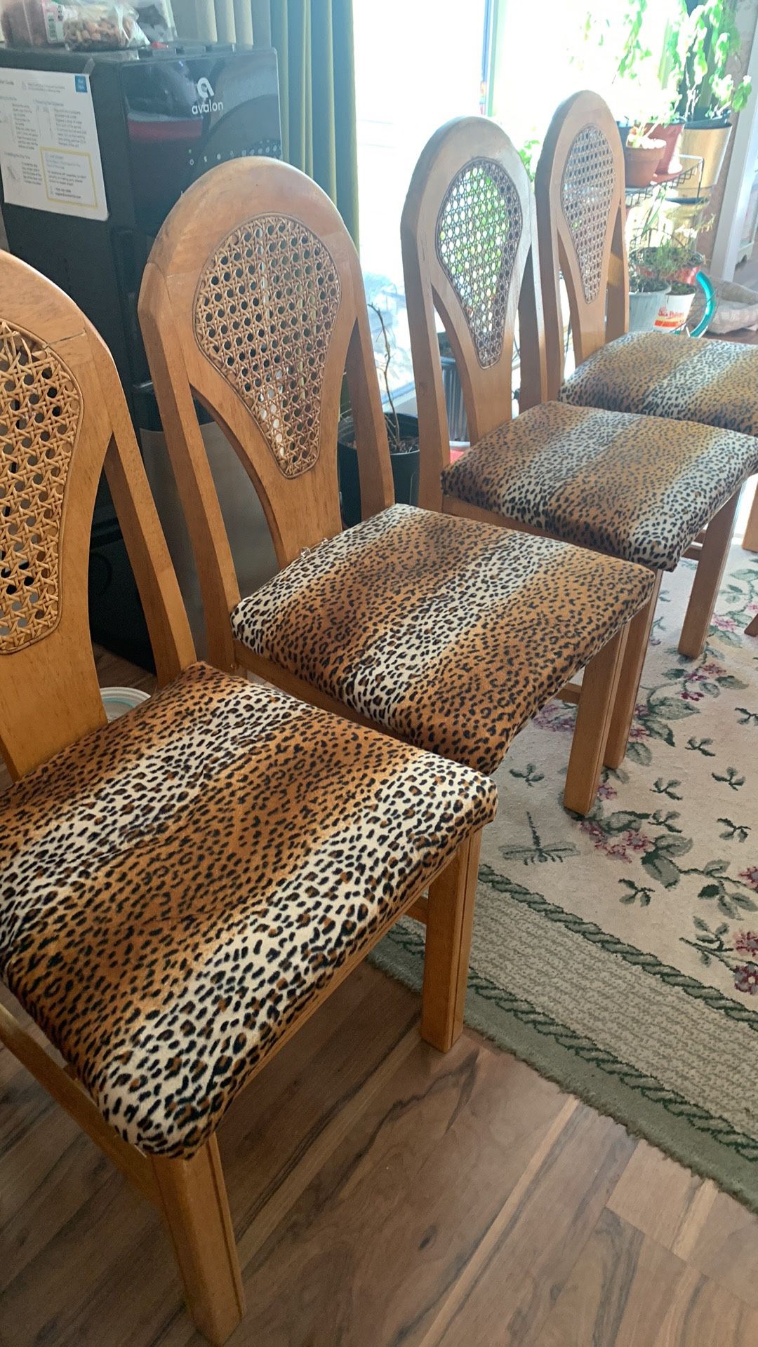 Leopard Dining Room Chairs