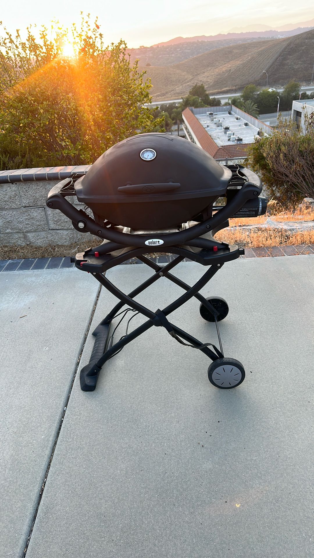 Weber Q Q2200 Portable Propane Grill BBQ Camp Asador With Mobile Stand ...