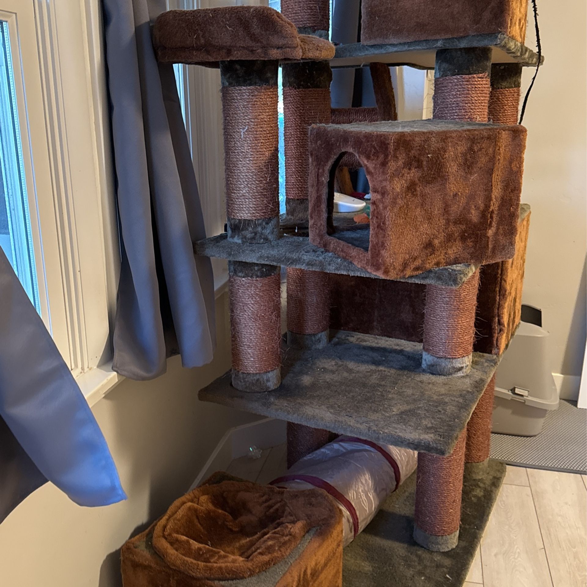 Big cat tree for Sale in San Diego, CA - OfferUp