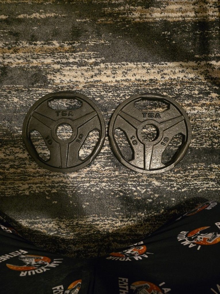 TSA Pair 10 Lb Plates for Sale in Cheyenne, WY - OfferUp