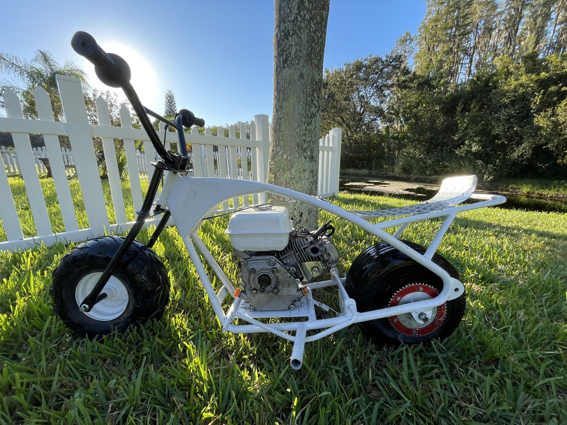 Custom Motovox Mini Bike W/Built 212 Predator (Priced To Sale FAST!) for Sale in Odessa, FL ...