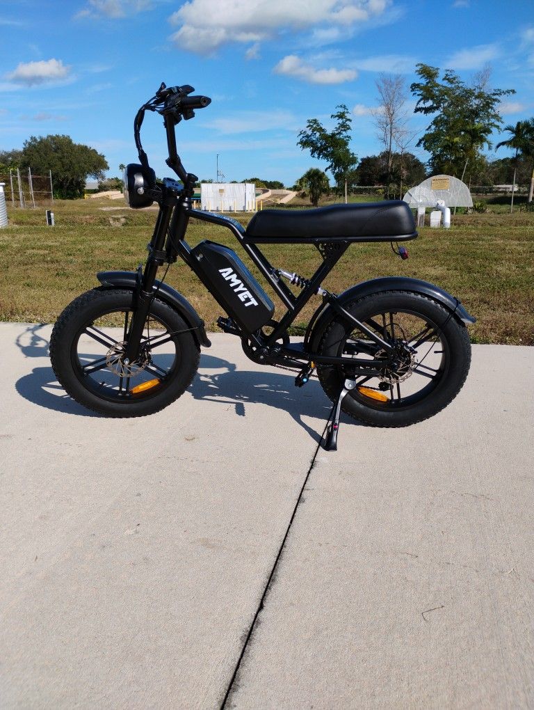 Electric Bike Ebike Bicycle Street Legal 2 Passenger Motorcycle Scooter for Sale in Fort ...