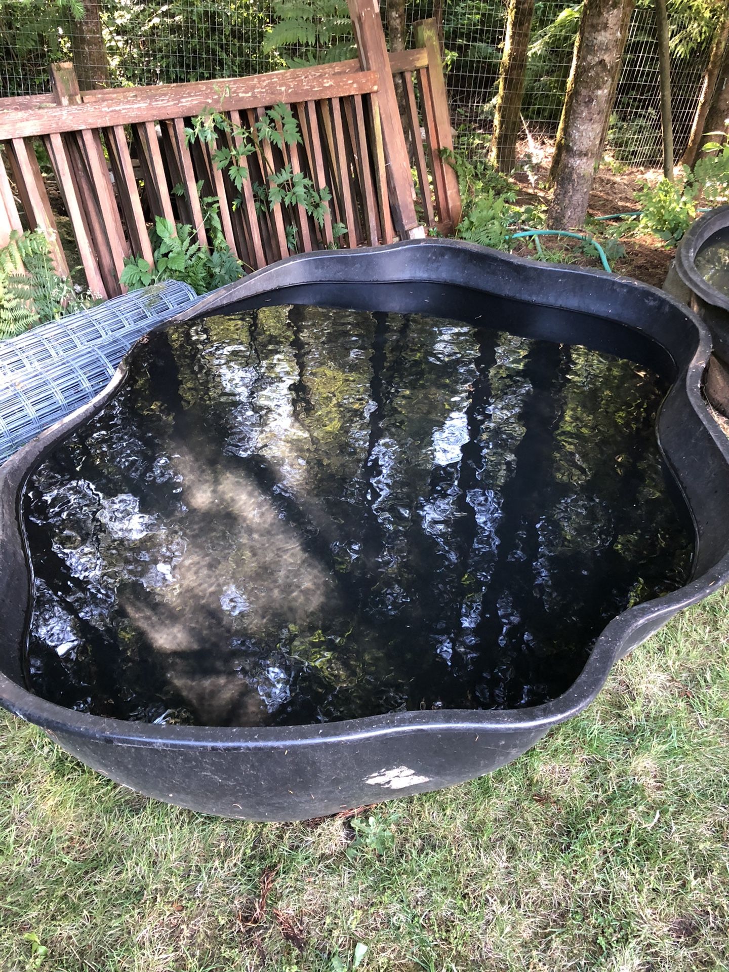 250 gallon pond for Sale in Port Orchard, WA - OfferUp