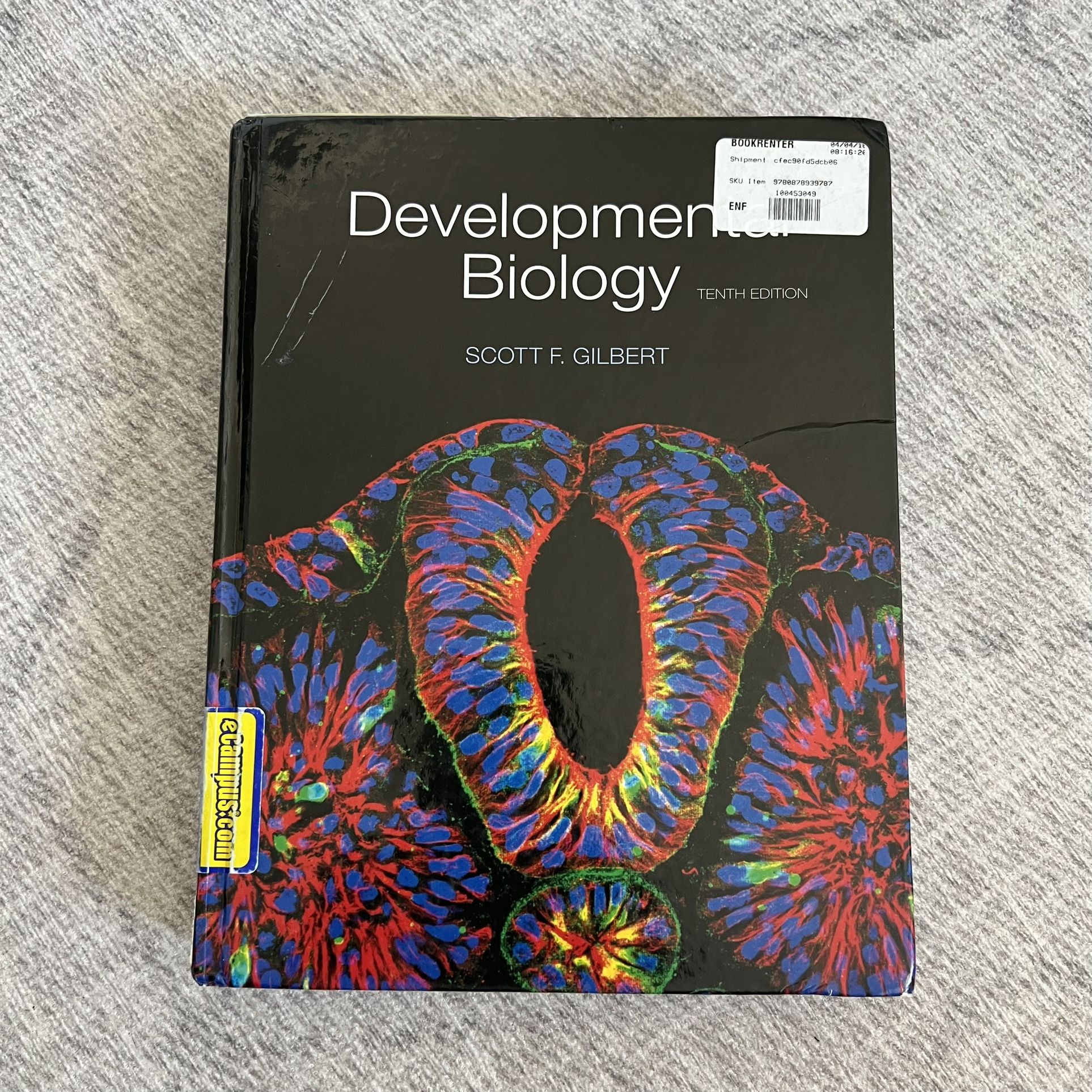 Developmental Biology Tenth Edition College Book by Scott F. Gilbert ...
