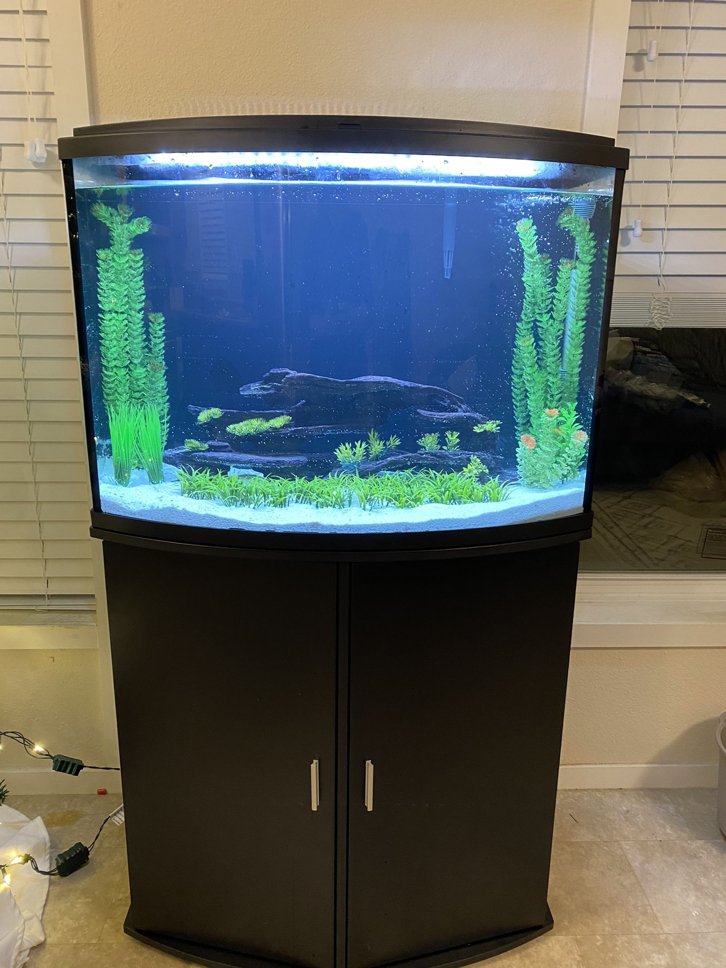 BRAND NEW 36 GALLON FISH TANK WITH STAND for Sale in Modesto, CA - OfferUp