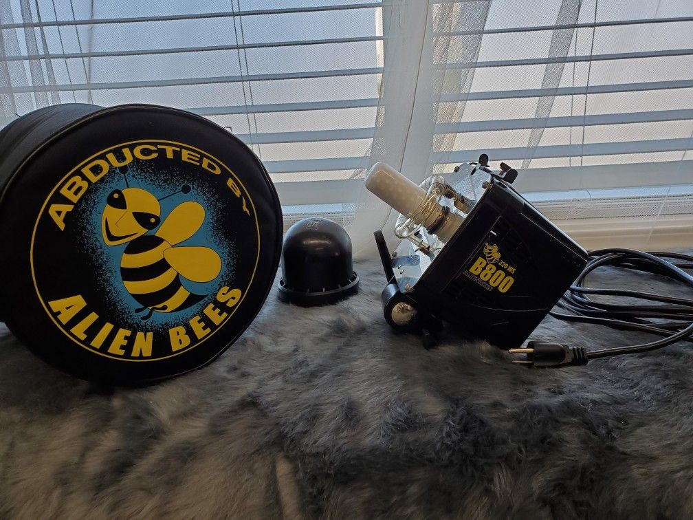 TWO Paul C Buff Alien Bees B800 strobes for Sale in Puyallup, WA - OfferUp