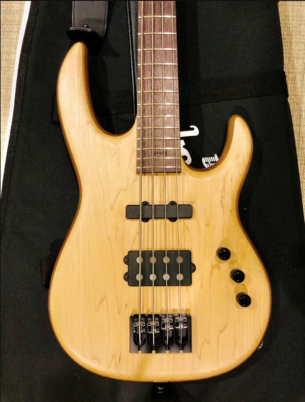 Huge Bass Guitar