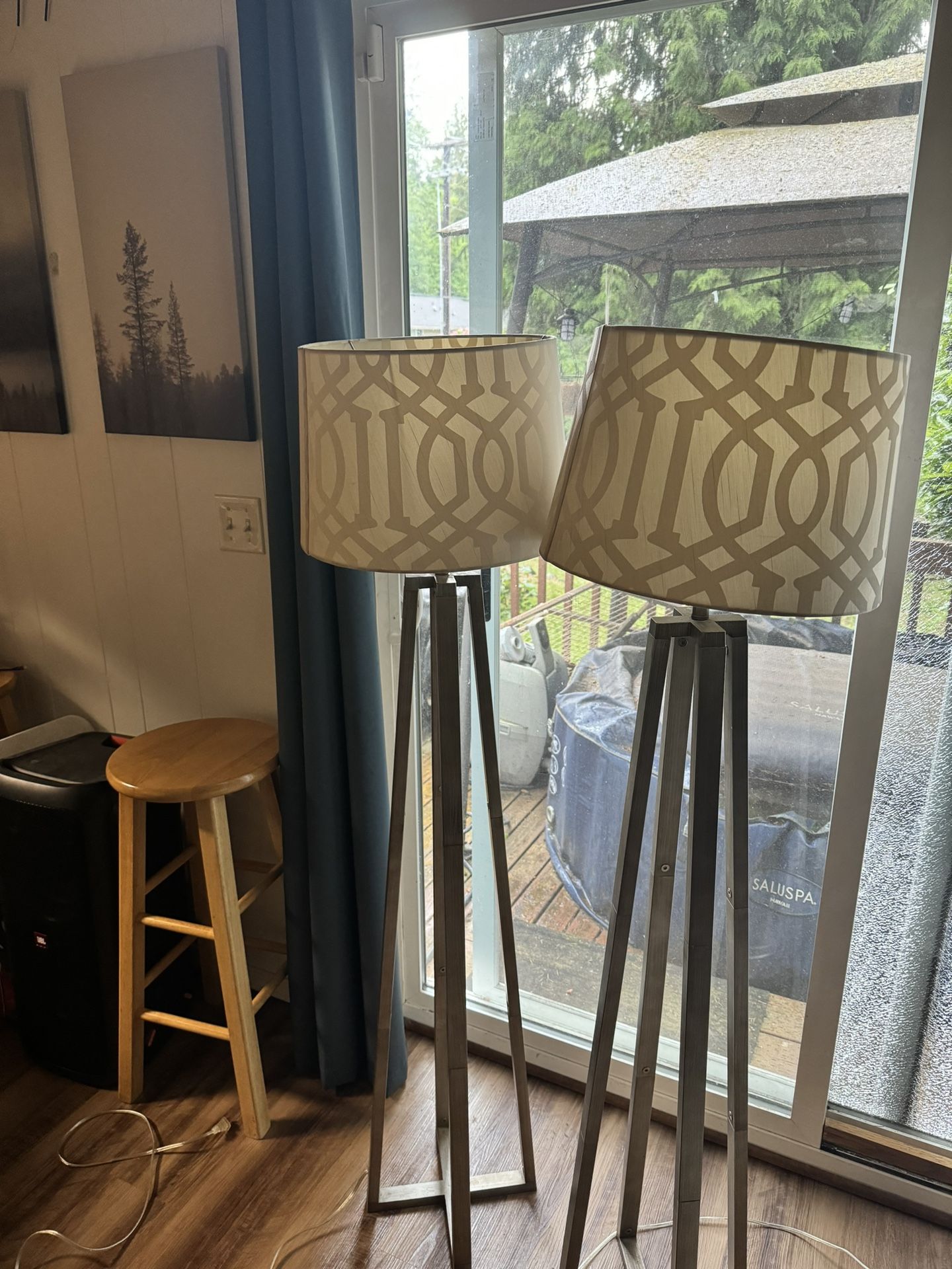 Set Of Two Beautiful, Elegant, Tall Stylish Fashionable, Cute Living ...