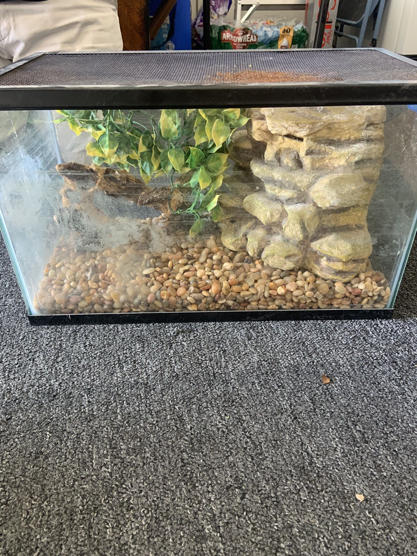 Pet Frog Tank