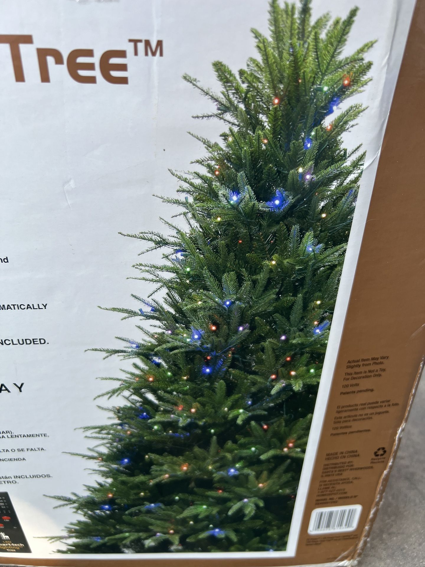 Splendor Spruce
