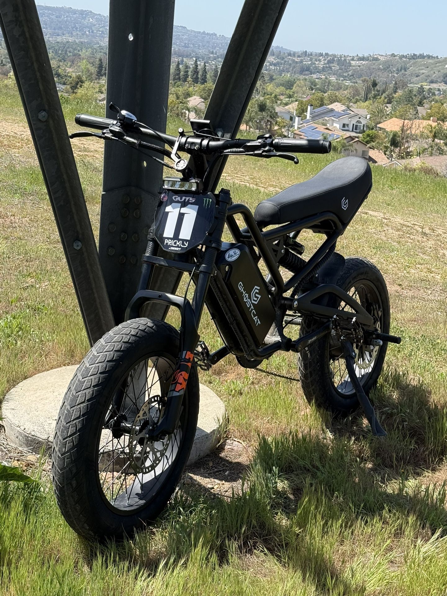 Ghostcat F3X Electric Bike for Sale in Anaheim, CA - OfferUp