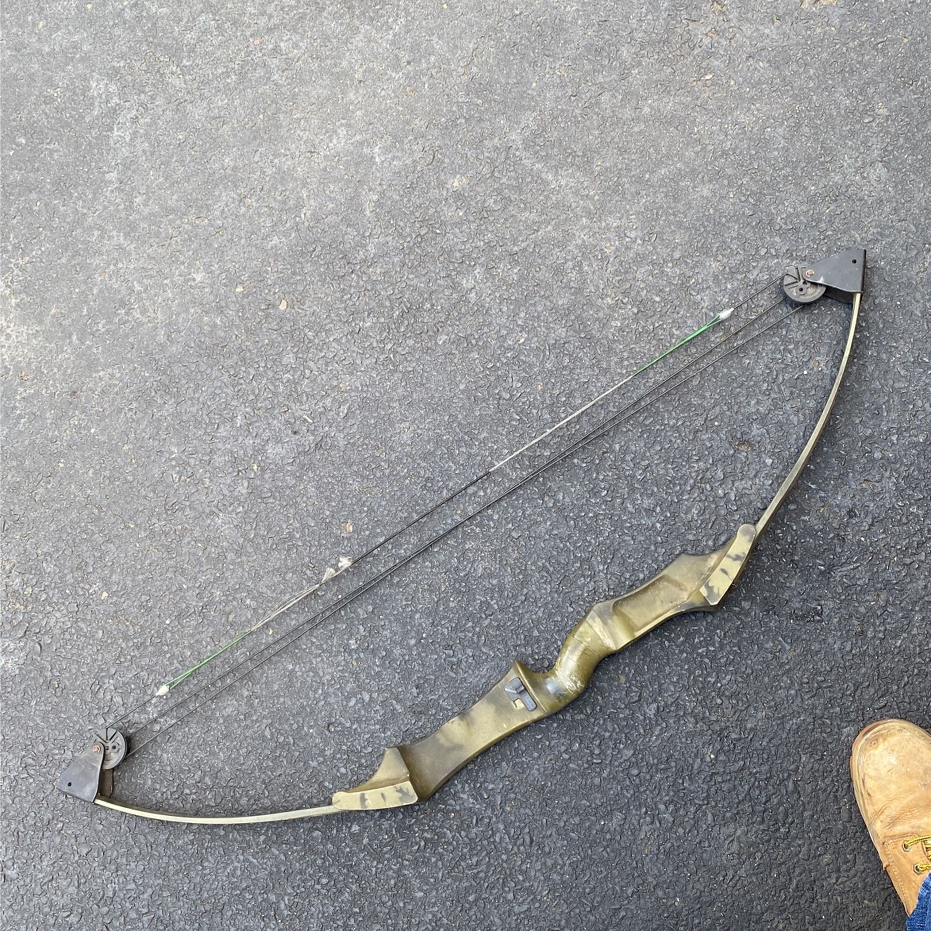 Black Bear Compound Bow