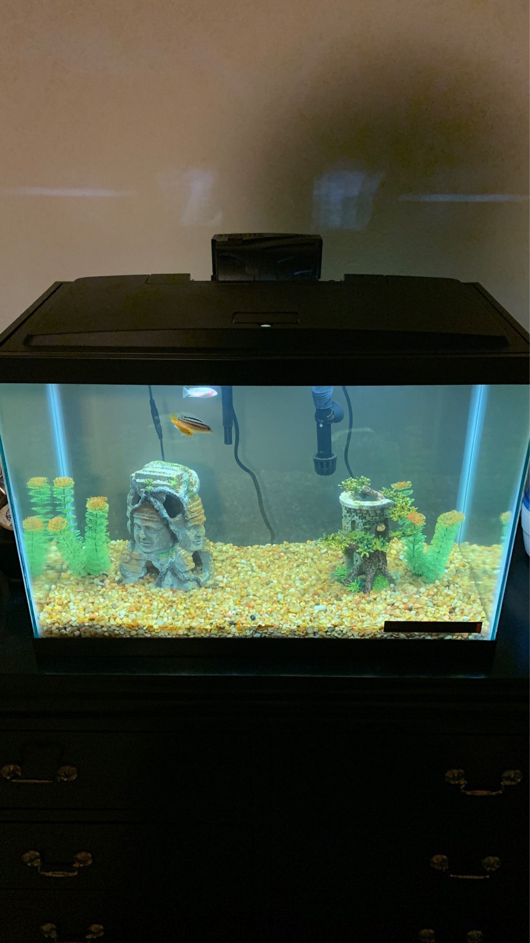 20 Gallon Fish Aquarium for Sale in Baytown, TX - OfferUp