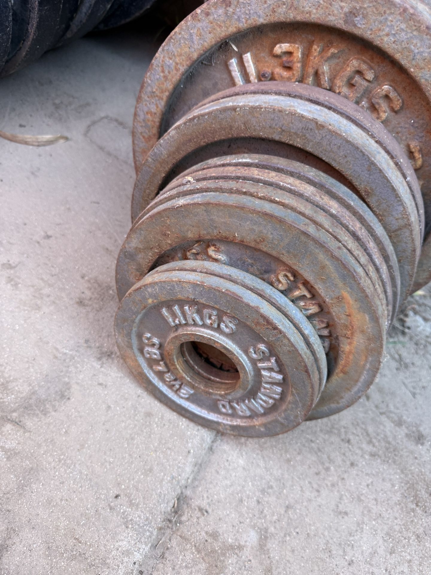 305 Lbs Olympic Weights for Sale in Lincoln Acres, CA - OfferUp