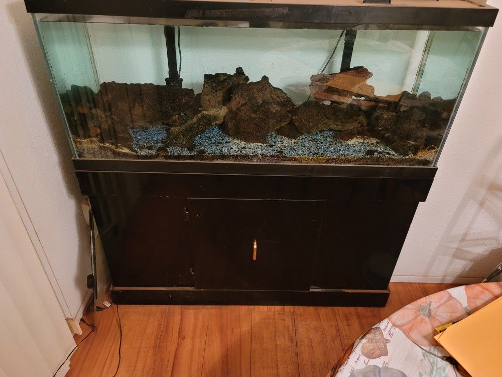 75 Gallon Fish Tank With Rocks for Sale in Vancouver, WA - OfferUp