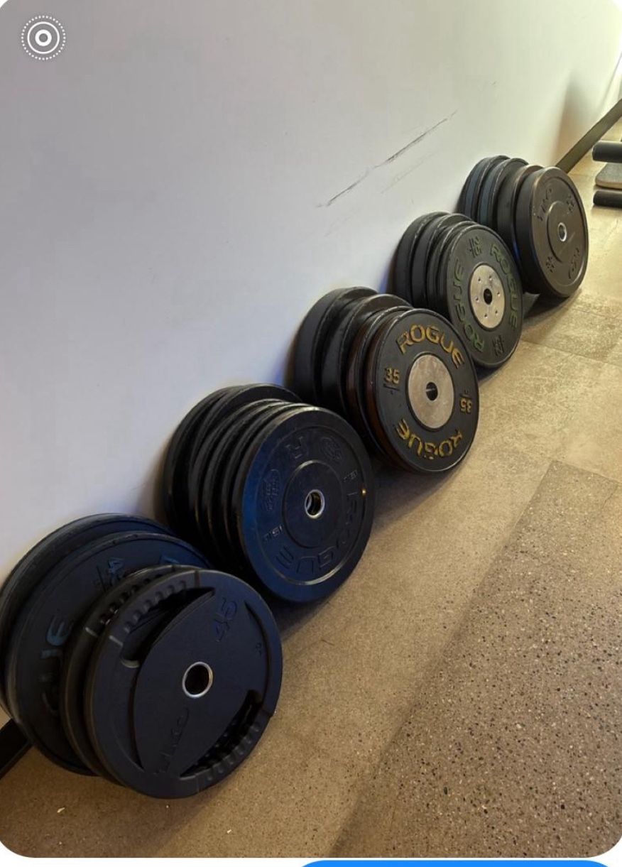 Rogue Plates for Sale in Los Angeles, CA - OfferUp