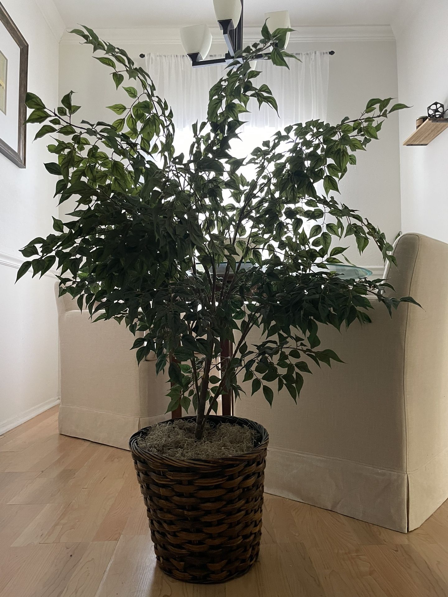 36” Faux Ficus Tree Planter for Sale in Austin, TX - OfferUp
