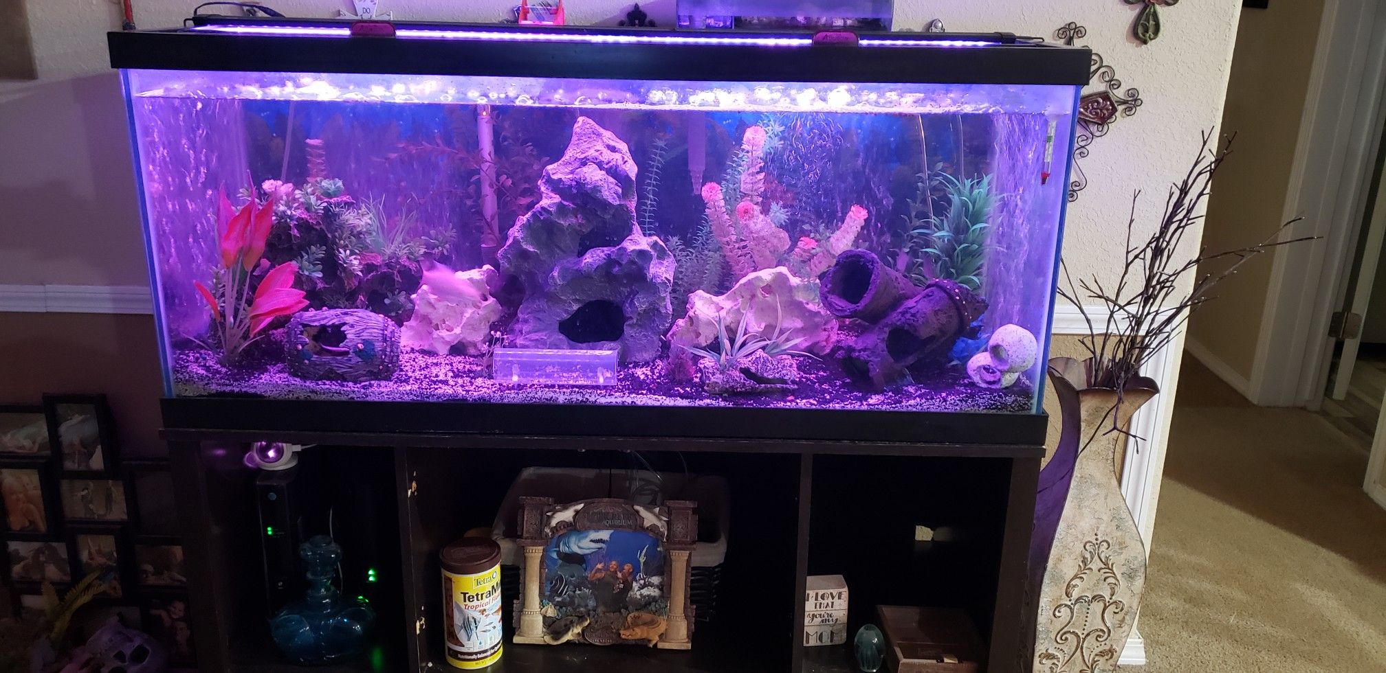 75 gallon fish tank aquarium for Sale in Fort Worth, TX - OfferUp