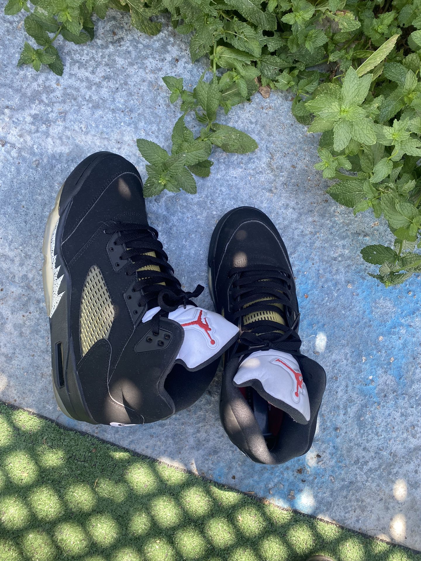 Jordan 5s for Sale in Turlock, CA - OfferUp