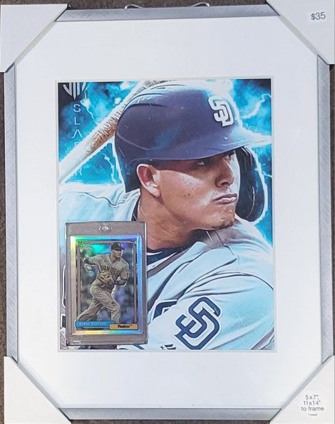 Padres Fernando Tatis Jr Signed, JSA-Certified, Custom-Framed, Large-Size Photo Display Piece ...
