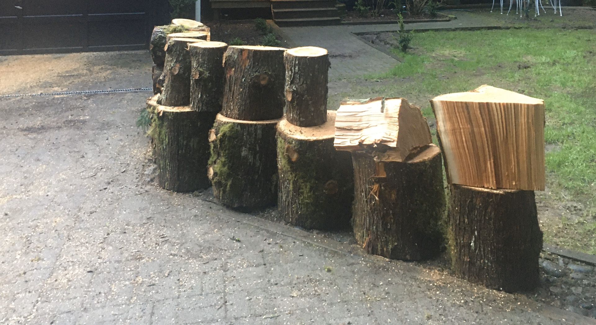 Cedar rounds Wood rounds / tree rounds / stumps / firewood for Sale in ...