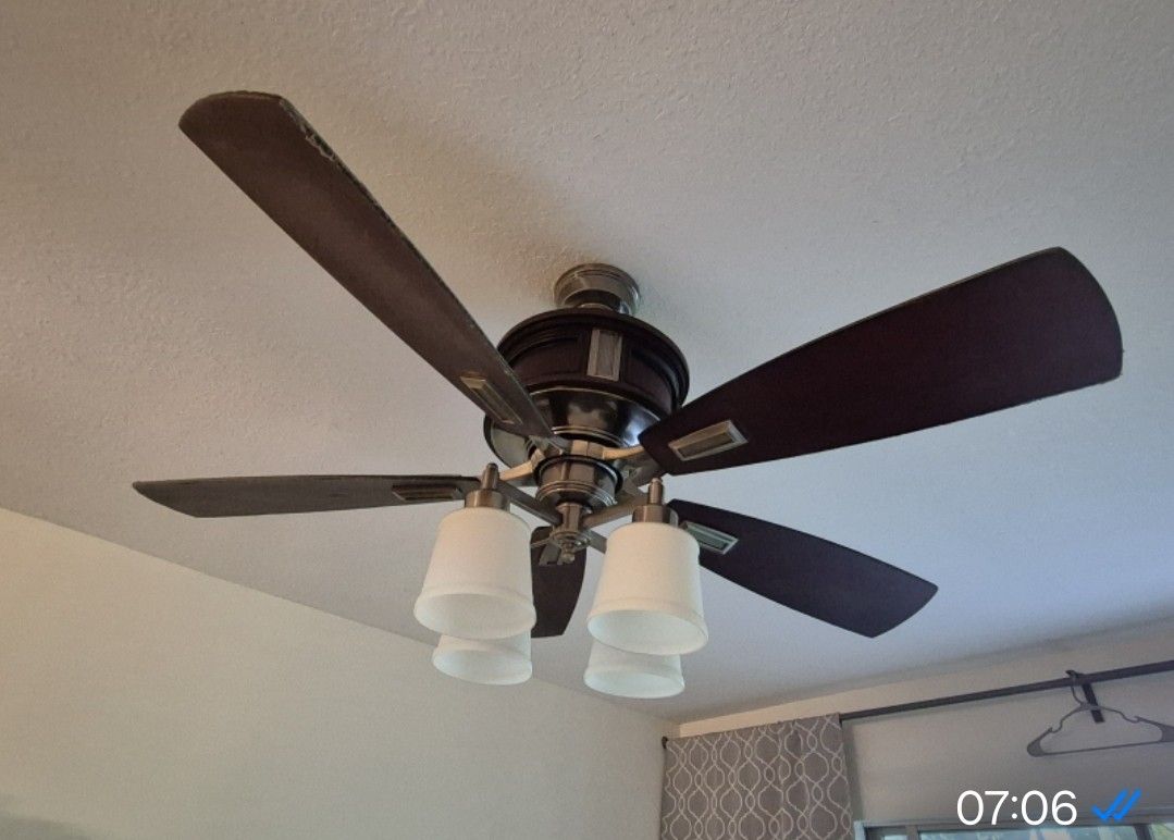 Ceiling fan / 5 palms / 4 Lights for Sale in Fort Lauderdale, FL - OfferUp