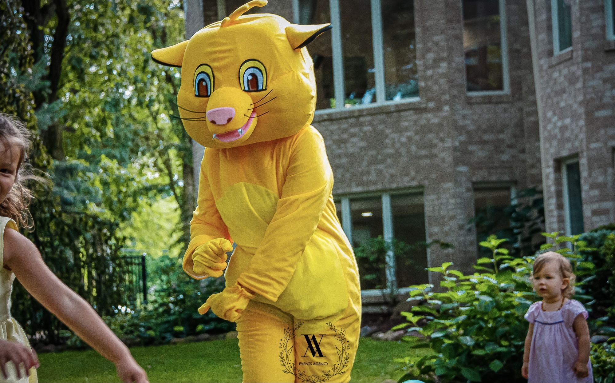 Simba Costume For Adults
