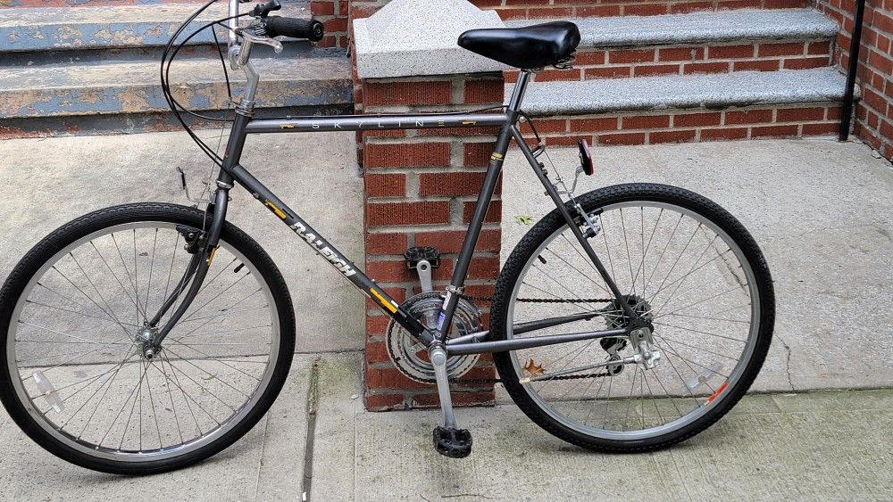 Raleigh City Bike