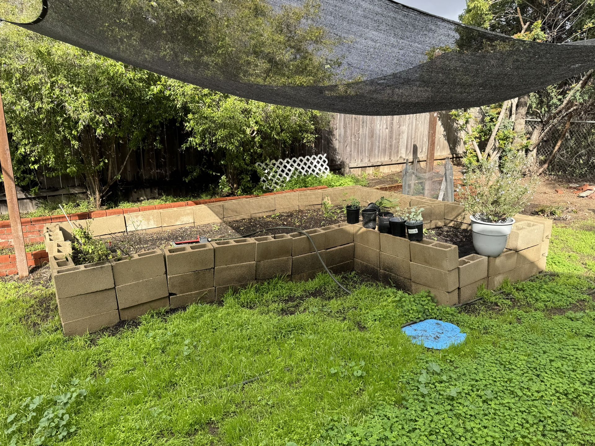 Free Cinder Blocks And Soil for Sale in San Diego, CA - OfferUp