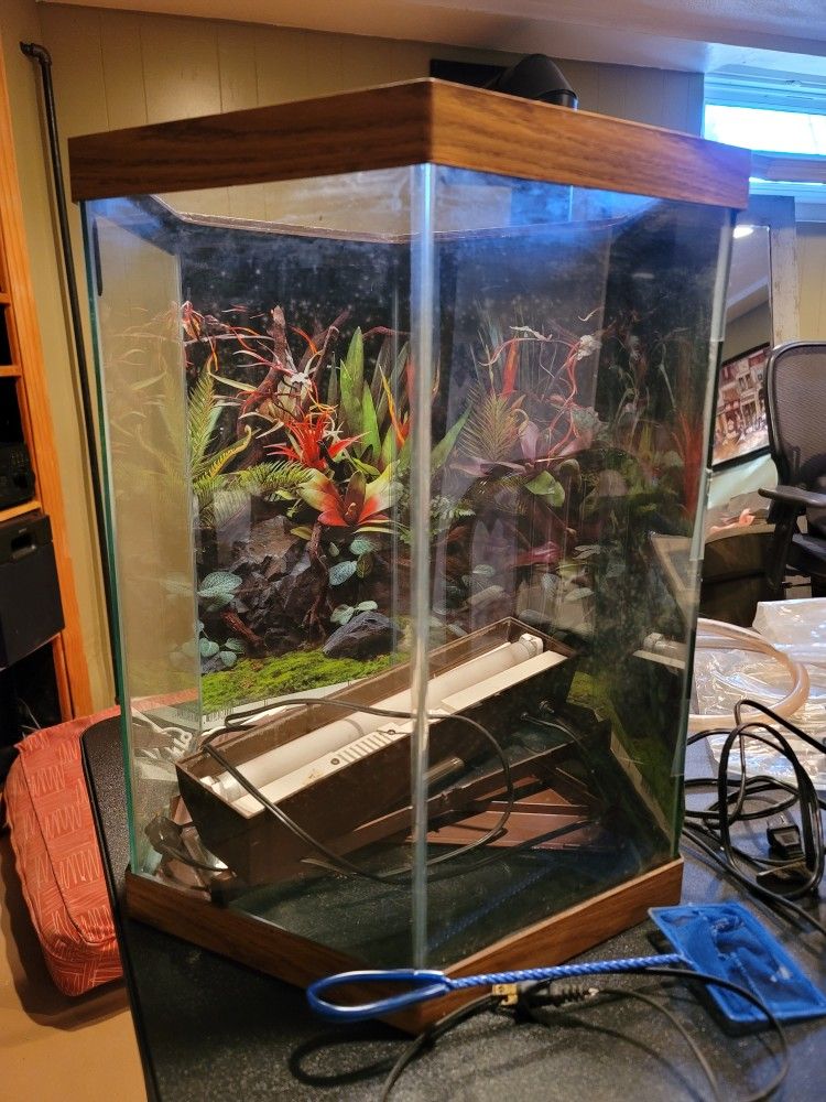 20 Gallon hexagon fish Tank for Sale in Lynn, MA - OfferUp