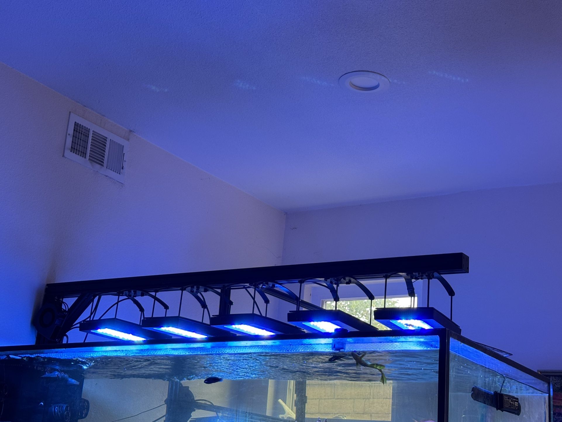 Ecotech Radion XR30 BLUE Gen5 G5 LED Reef Lights for Sale in Fullerton ...