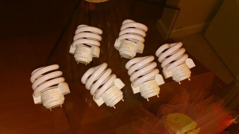 Set of 6.Viva PBCFS2670 26W 120V 60Hz 400Ma Compact Fluorescent Lamp ...