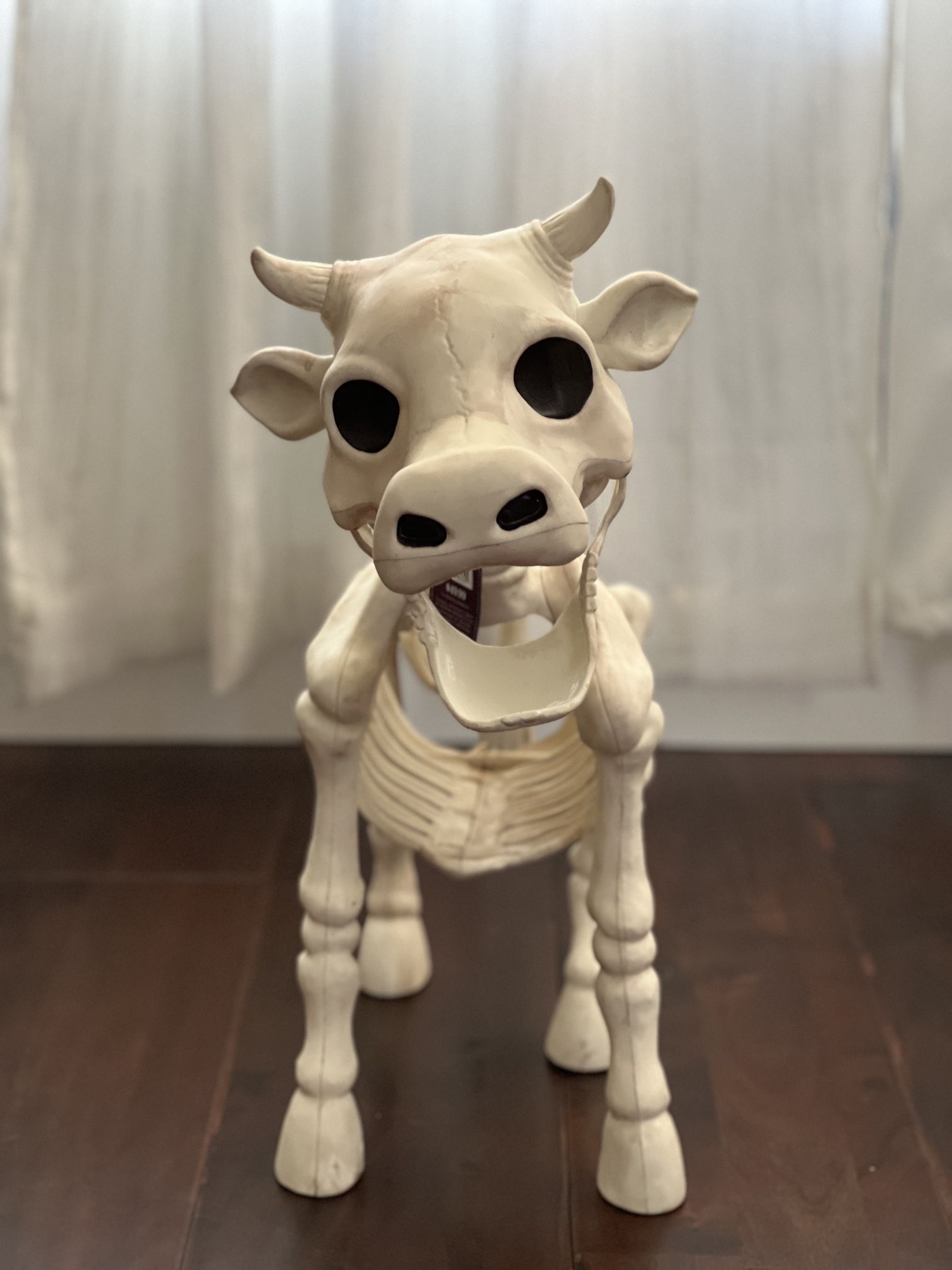 Red shed Cow Skeleton for Sale in Corona, CA - OfferUp