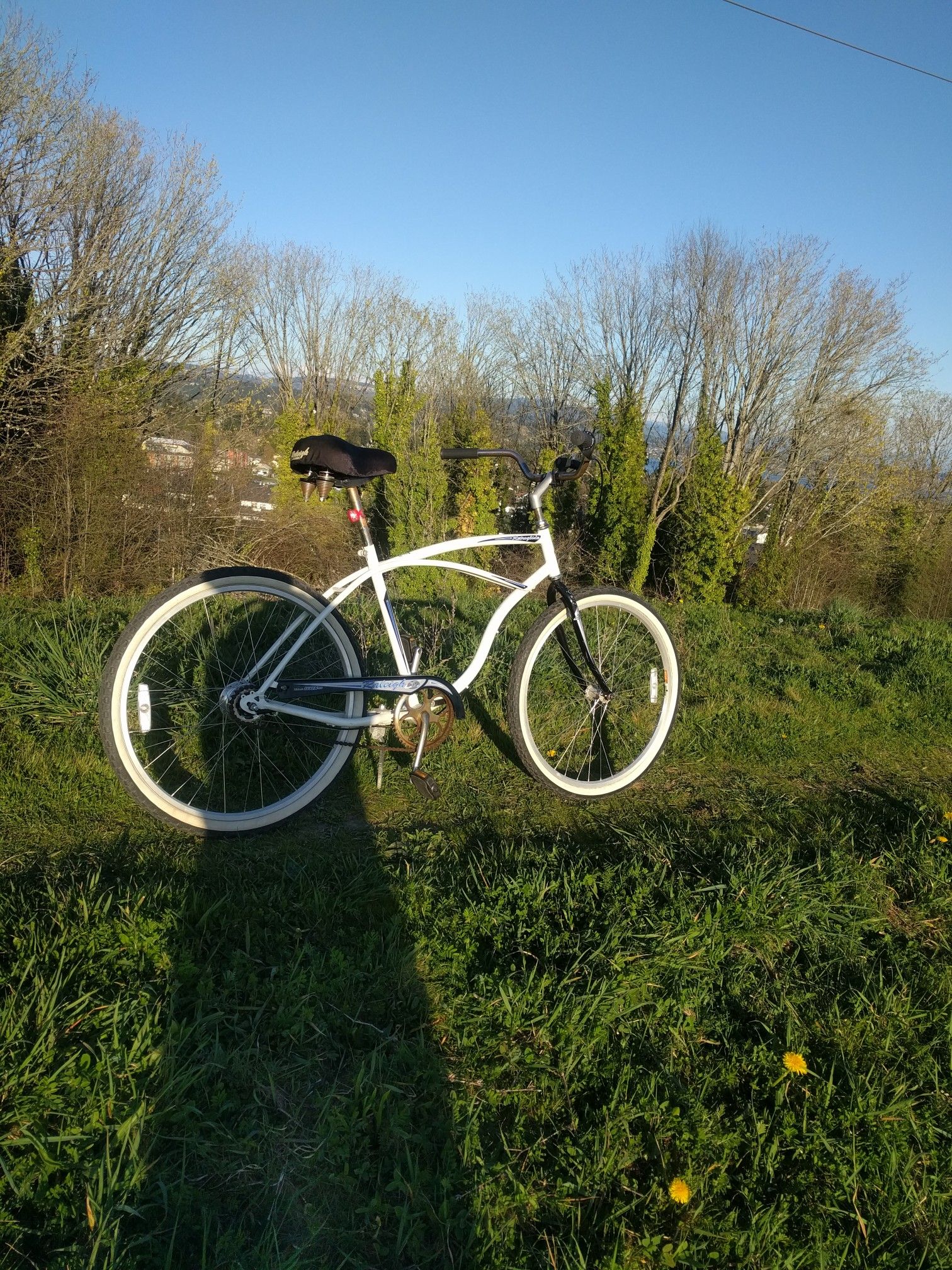 Raleigh retroglide nx 7 speed for Sale in Seattle, WA - OfferUp