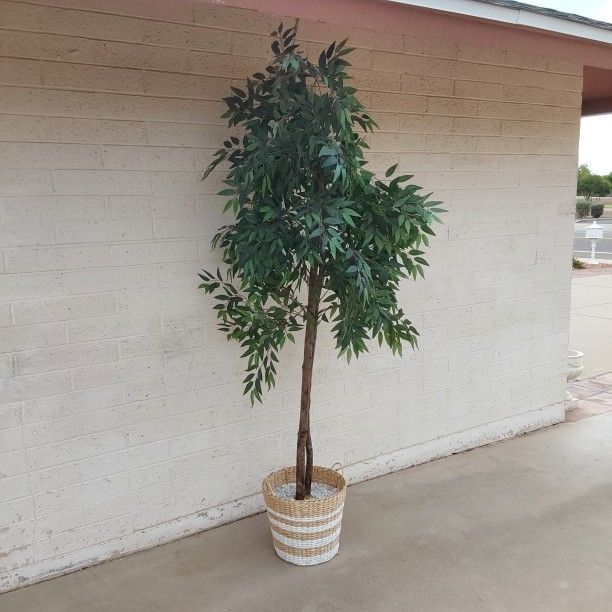 Silk Plant Tree - Almost 8 Feet Tall - $20 for Sale in Glendale, AZ ...