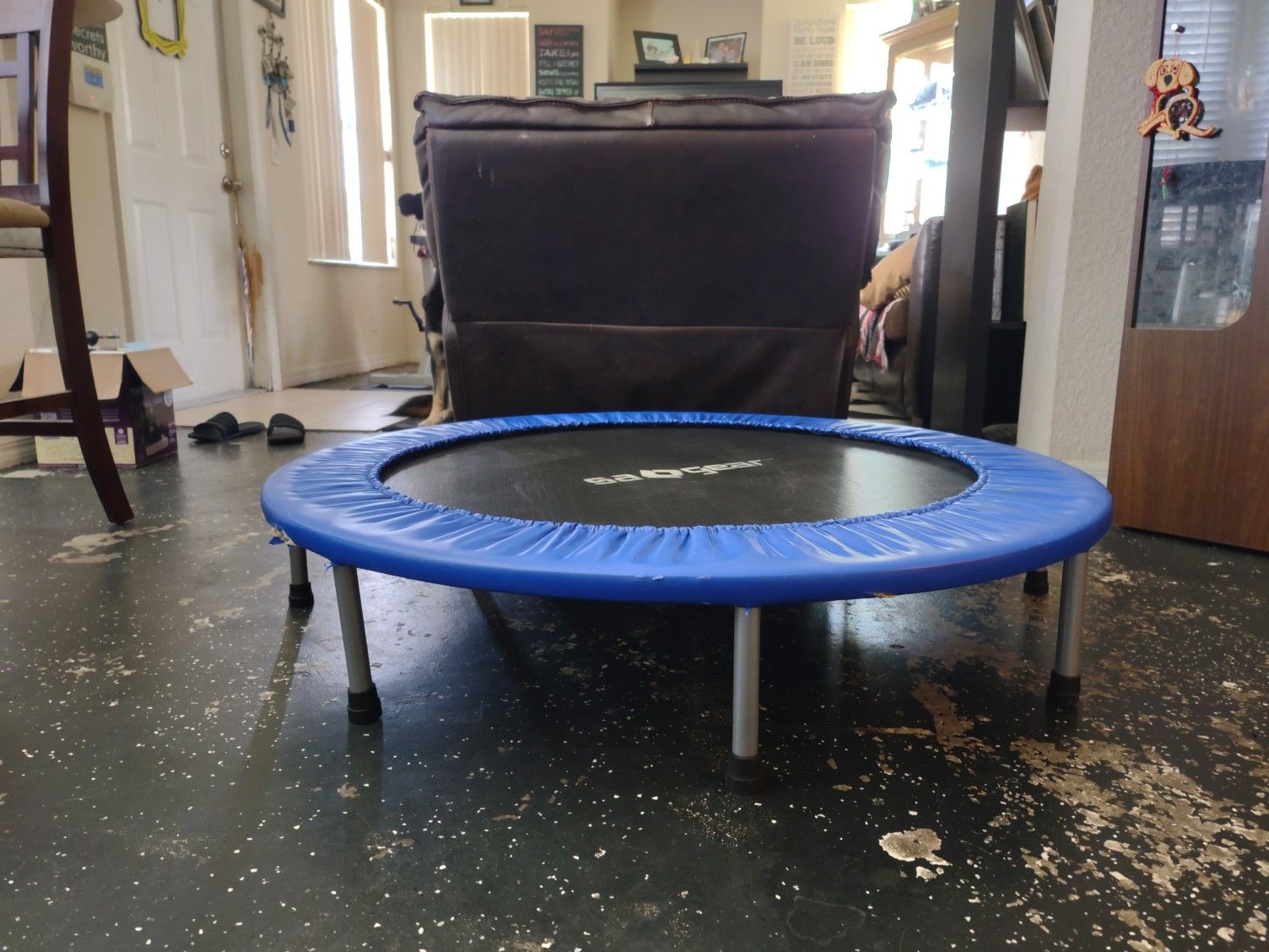 SA GEAR exercise trampoline Free for Sale in Lauderhill, FL - OfferUp
