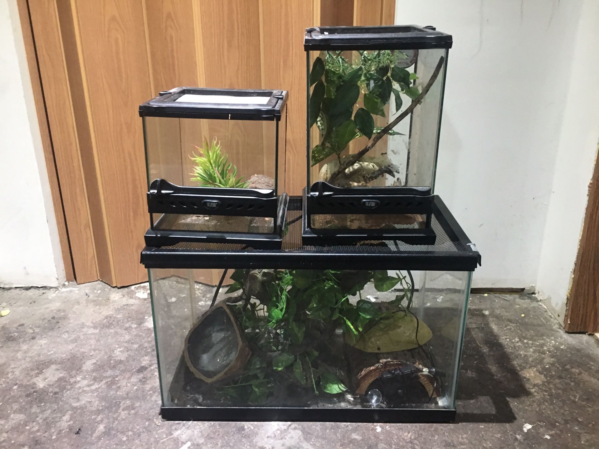 Reptile Tanks for Sale in Chicago, IL - OfferUp