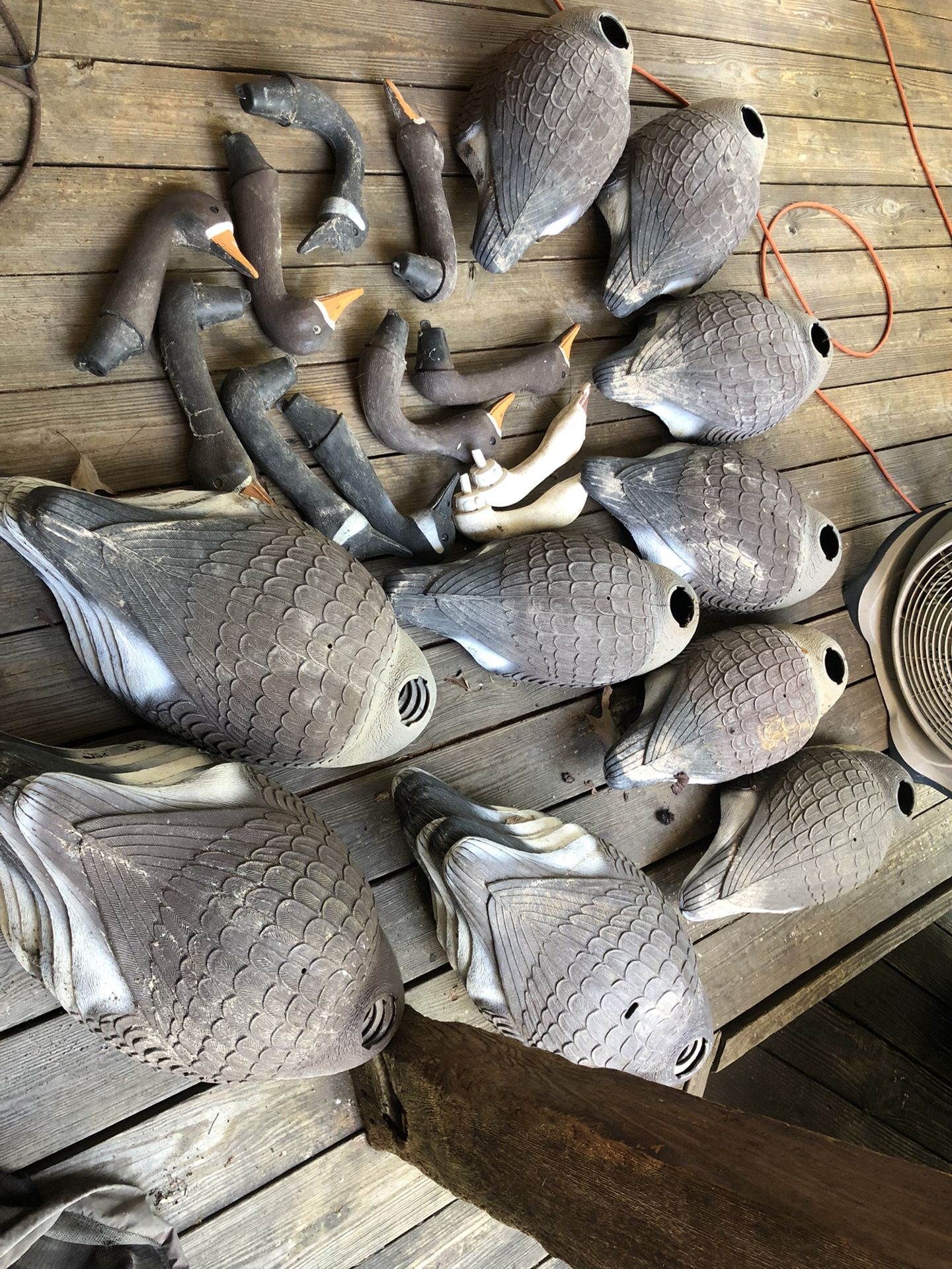Goose Decoys Shell Type for Sale in Humble, TX - OfferUp