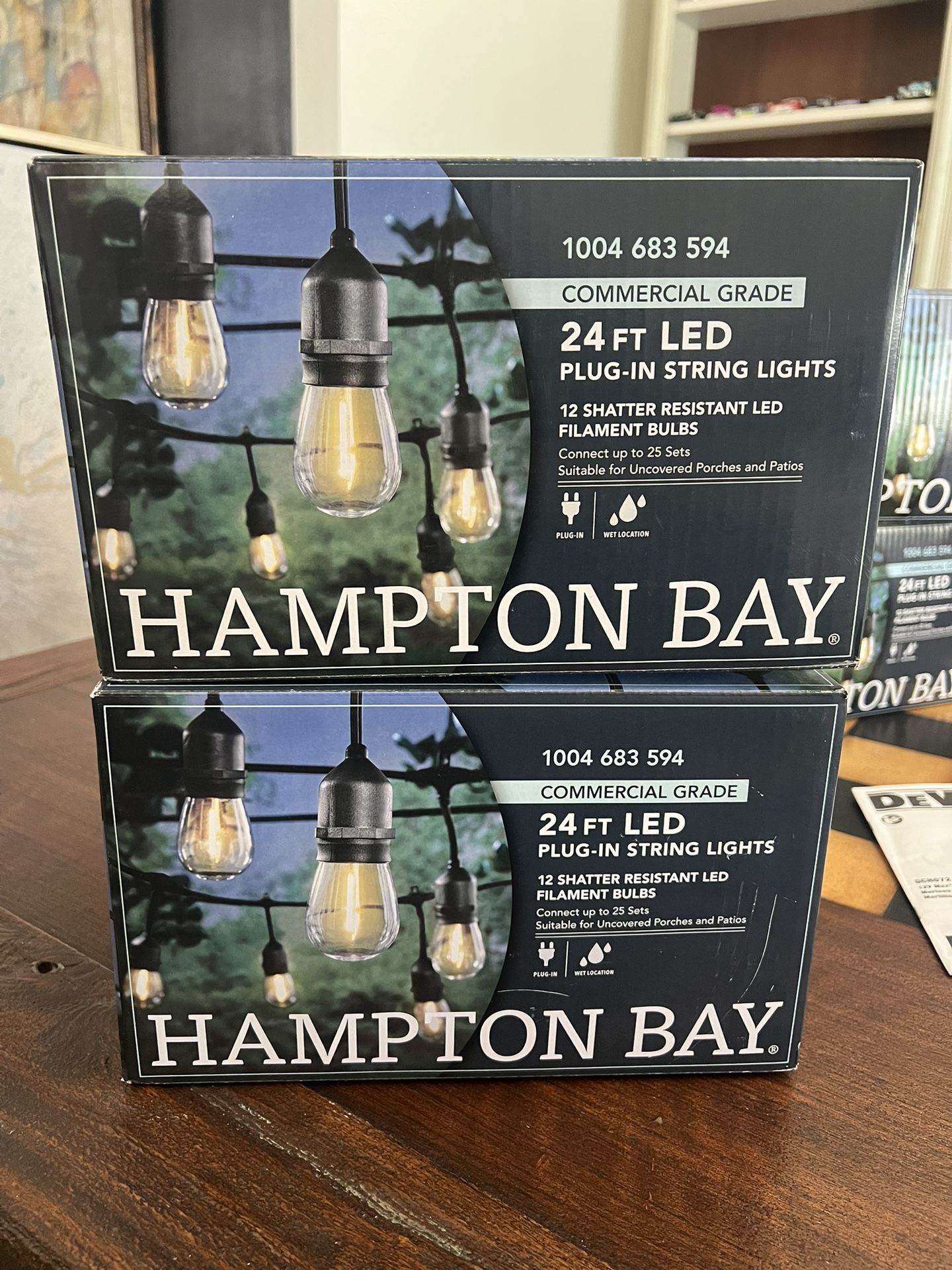 Hampton Bay 12-Light 24 ft. Plug-in Indoor/Outdoor Edison String Light ...