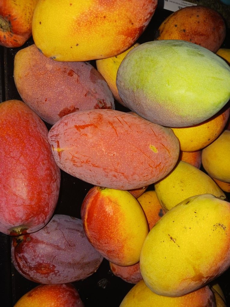 Mangoes Organic Home Grown Cogshell Variety for Sale in Oakland Park ...