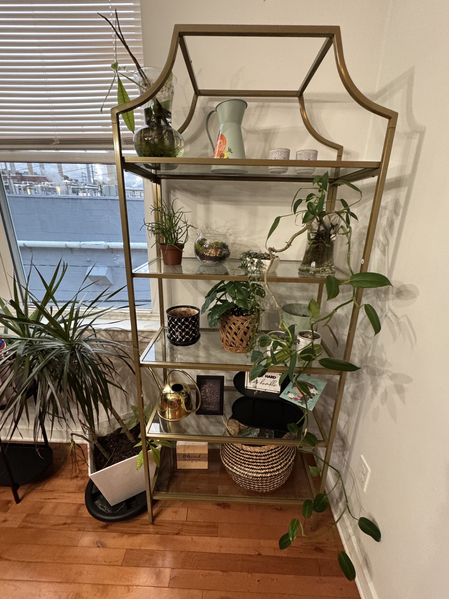 Gold and Glass bookshelf for Sale in Philadelphia, PA - OfferUp