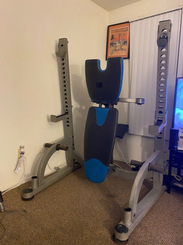 Nautilus foldable weight bench and squat rack for Sale in Cty Of Cmmrce ...