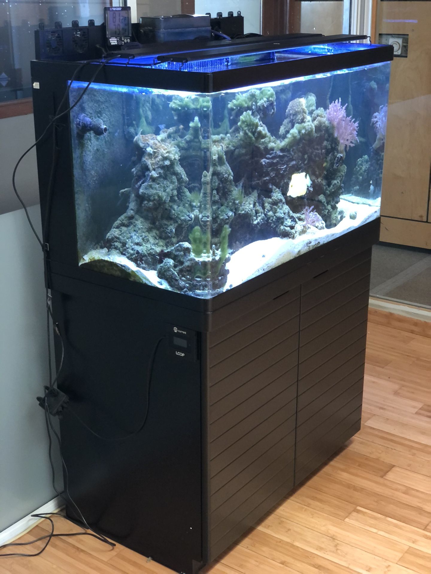 RED Sea Max 250, 66gal Reef Aquarium with Live Fiji Rock, LED lighting ...