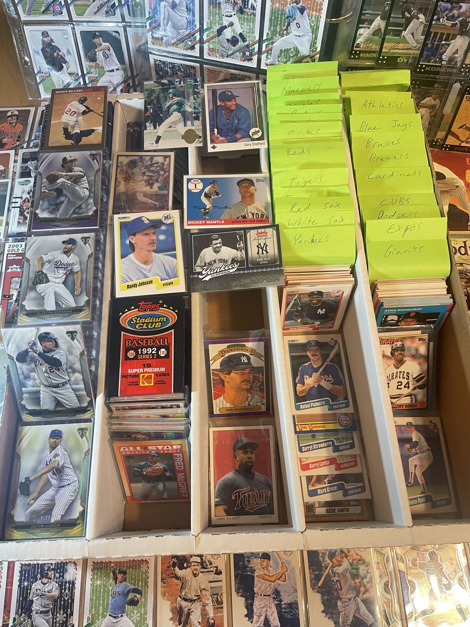 HUGE Baseball Card Collection - Vintage + Modern! Topps, UD, Panini ...